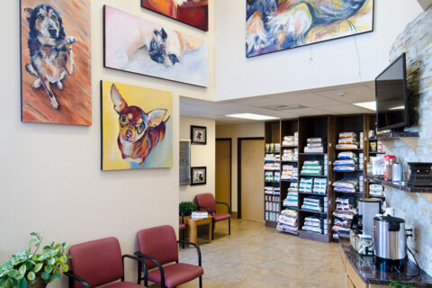 Alpine Animal Clinic Gallery | Vet Clinic In Helena MT 59601