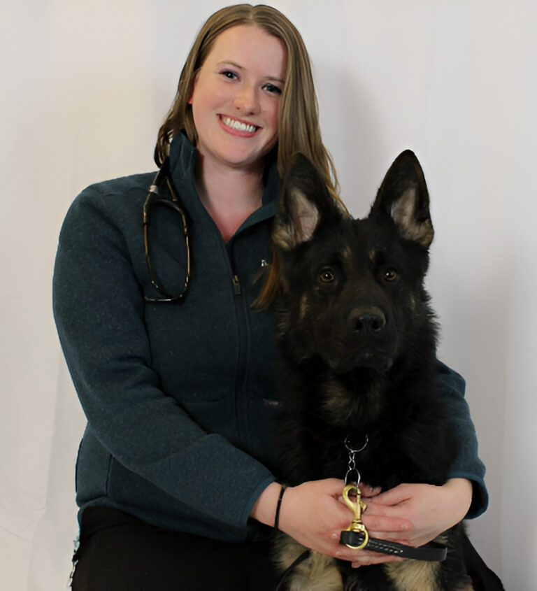 Veterinarian In Helena, MT 59601 | Alpine Animal Clinic